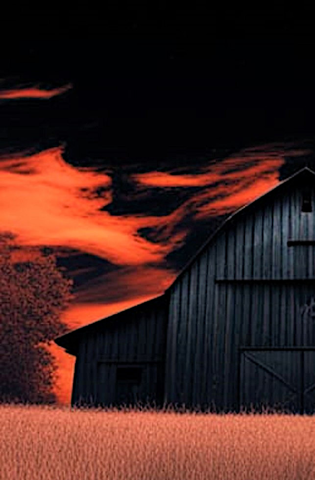 Pre-order sale for Doc Talos “Stains” – Doc Talos